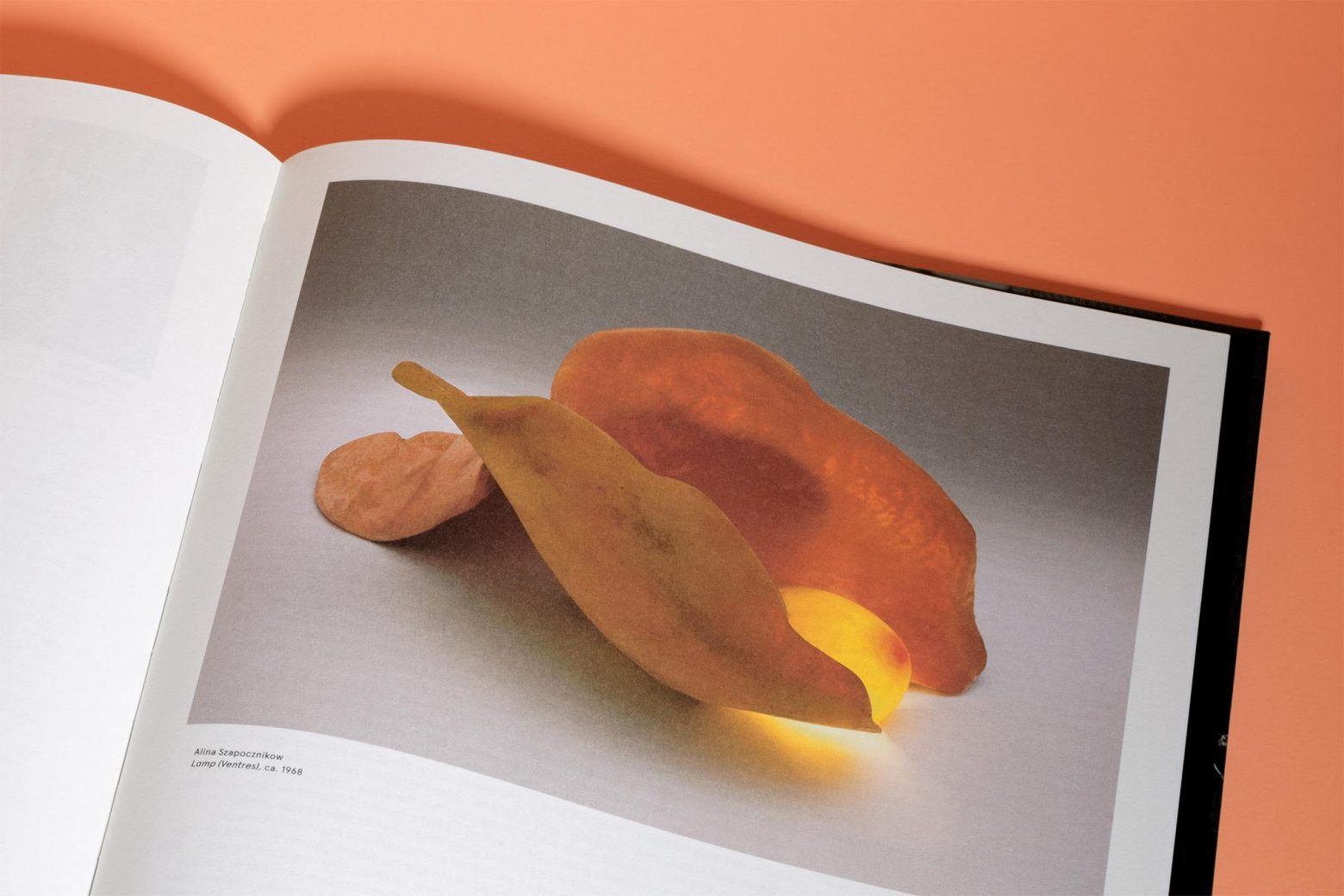 Ursula Hauser: "Human Capsules" Exhibition | HammerAlbrecht